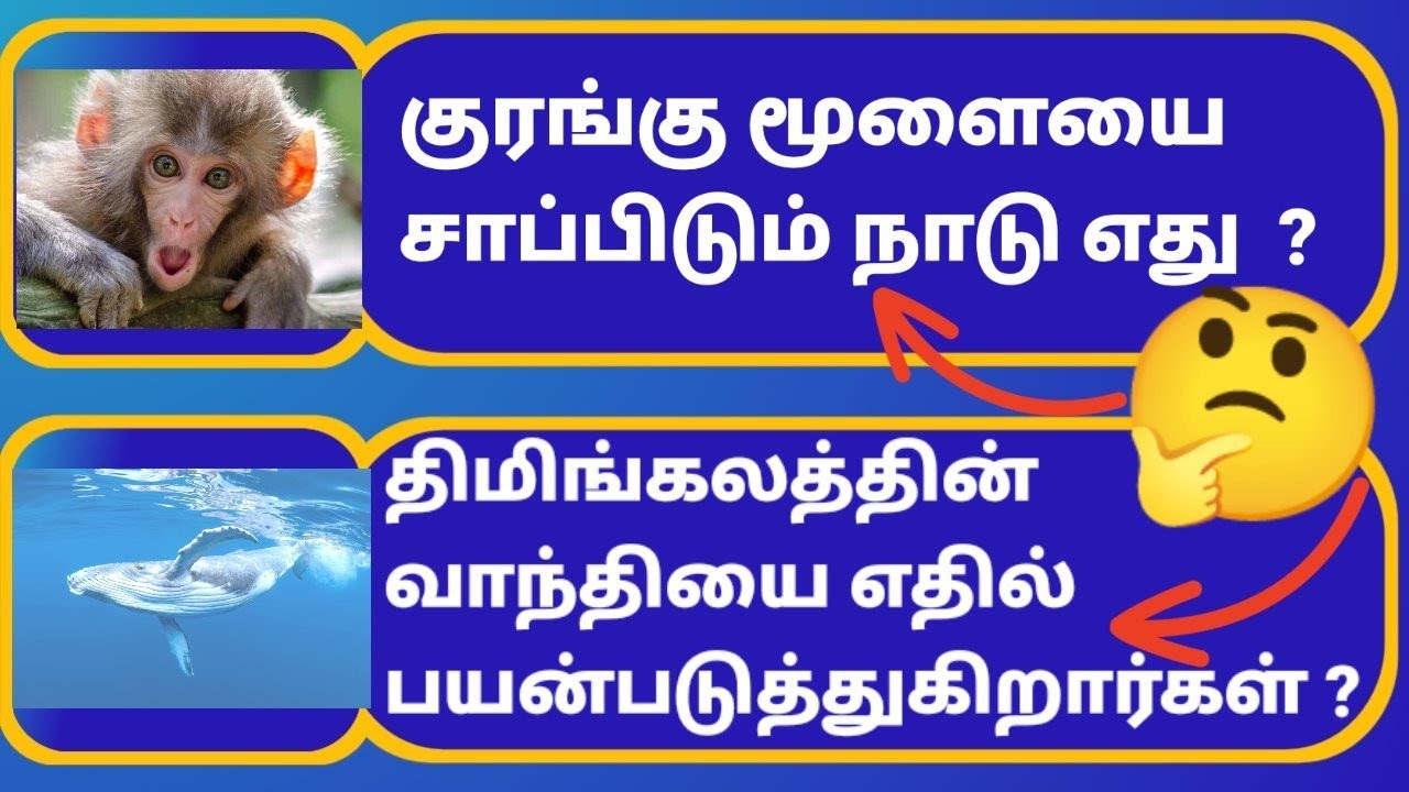 Interesting Questions In Tamil Tamil GK Part 7 Top Tamil Quiz interesting-questions-in-tamil-tamil-gk-part-7-top-tamil-quiz