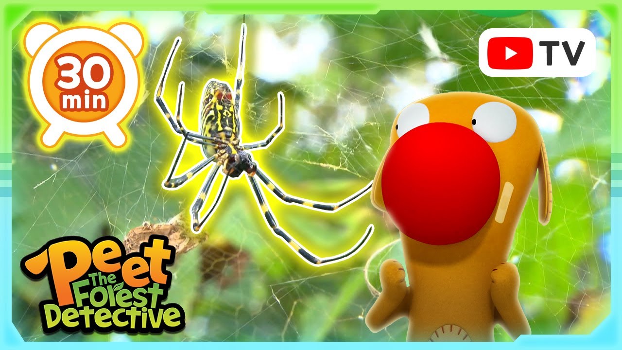 The Great Forest Friends Voyage 🌲 | Animal Stories For Kids | Peet The ...