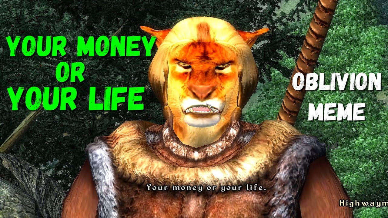 Your Money or Your Life - Oblivion Meme - YouTube
