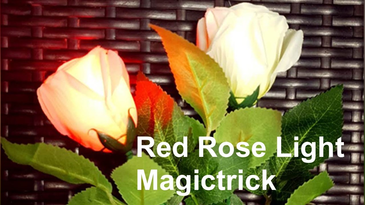 Red Rose Light magic trick - YouTube