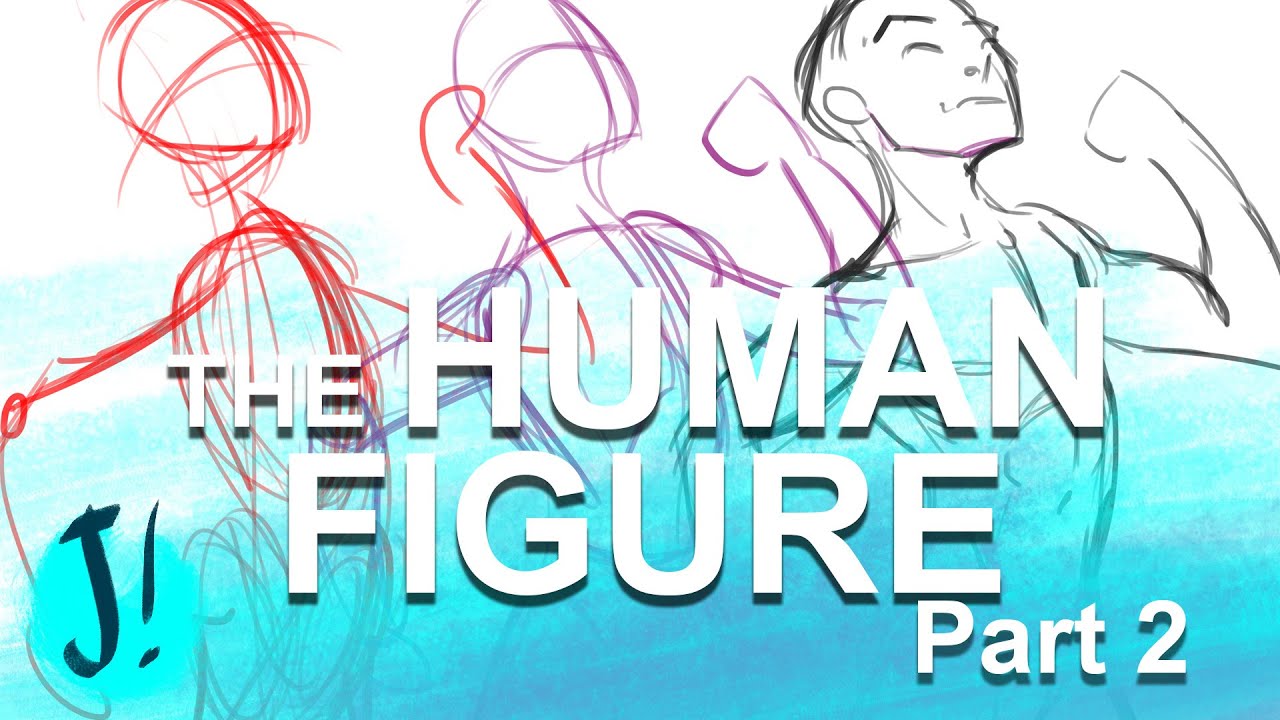 HUMAN FIGURE BASICS TUTORIAL - Part 2 - YouTube