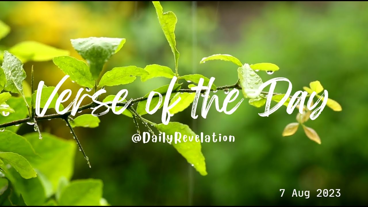 Finding Joy in His Holy Name: A Bible Verse of the Day for August 7 ...