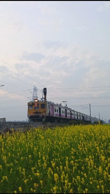 Train Over Mastered Field #Shorts #viralshorts #easternlifelines - YouTube