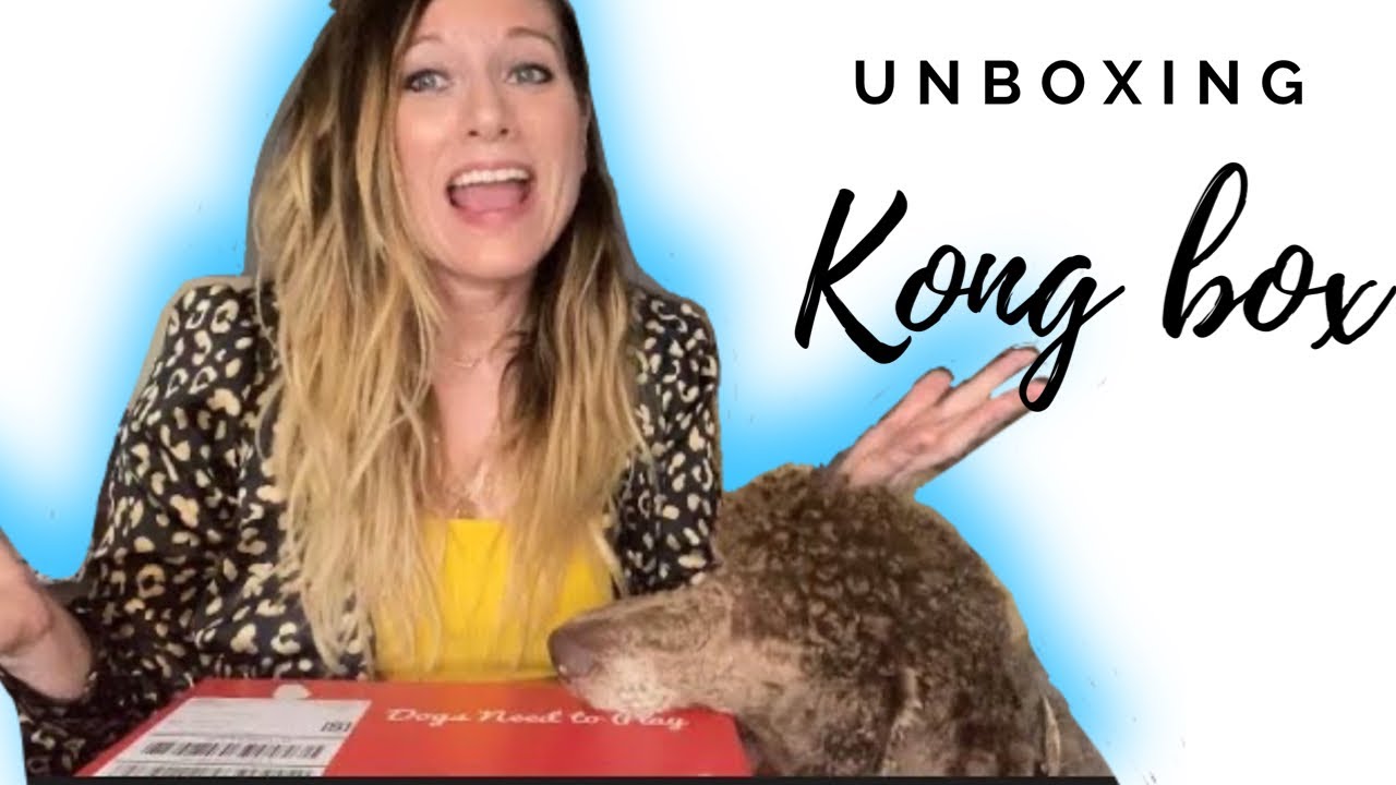 Monthly subscription box video for dog owners: unboxing Kong box - YouTube