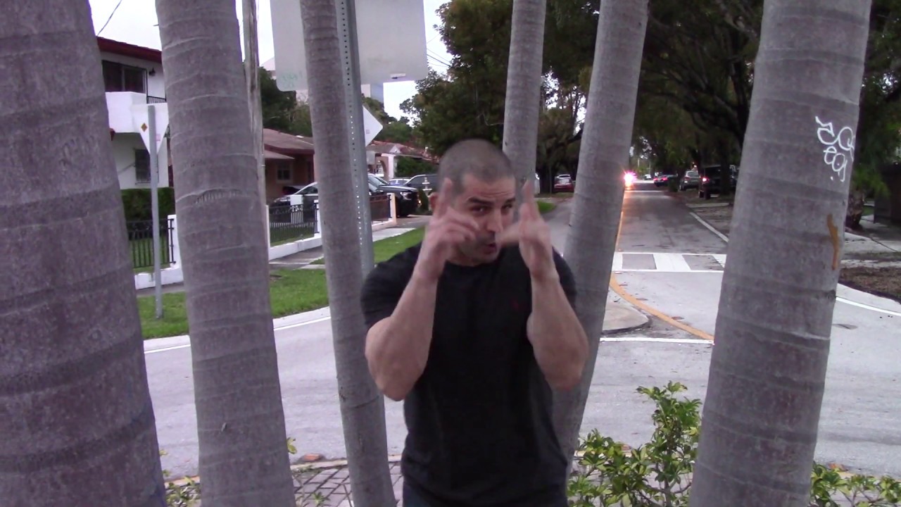 Crystal Palace Hooligans vs Brighton: Who's the Hardest? - YouTube