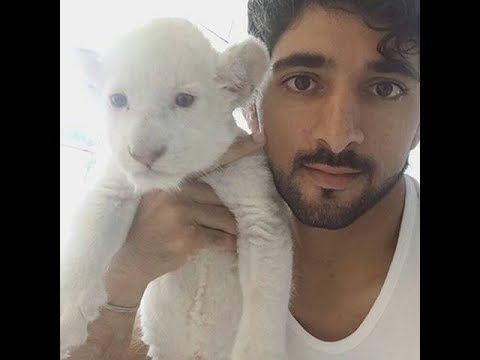 Dubai Prince Pets and Cars - YouTube