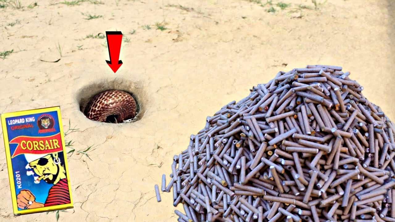 1000 BIDI 🚬 BOMB At Once Fireworks Testing 2024 || Diwali Firecracker ...