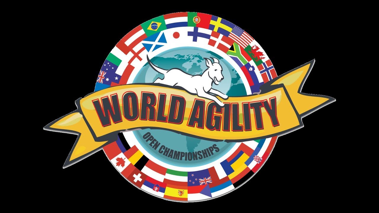 World Agility Open Championships 2019 - Highlights - YouTube