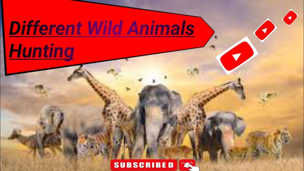 Top 10 Animal Attack Movies|| Animals Attack Video||Best Animal Fights ...