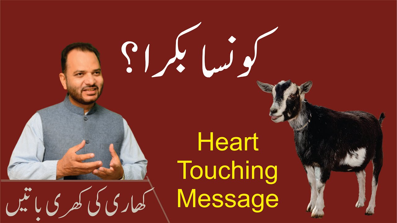 Kia Ap nay Bakra kharida? A message before Eid ul Azha | Abid Iqbal ...