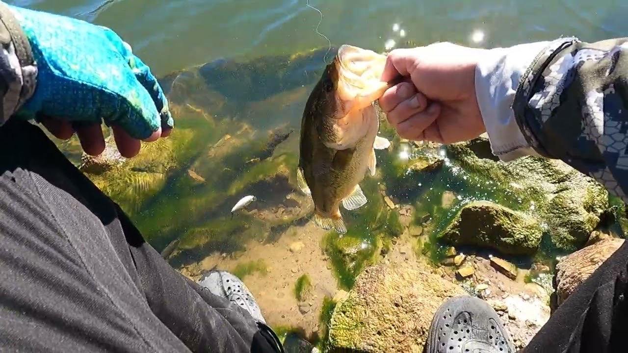 Automatic fish catcher - Fishing lure - YouTube