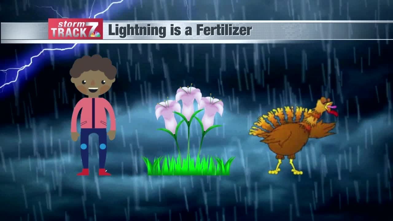 Weather Wonders - Lightning and Fertilizer - YouTube