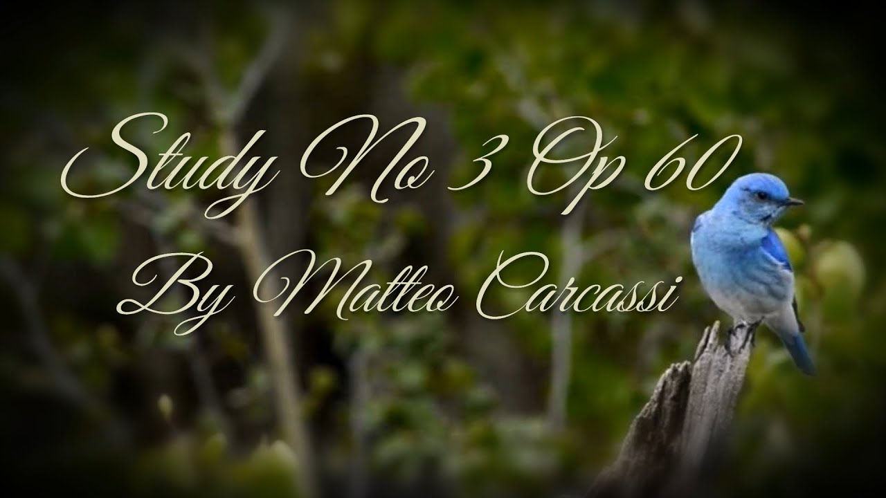 Study 3 Op 60 Matteo Carcassi Arr Gerald Kidd - YouTube
