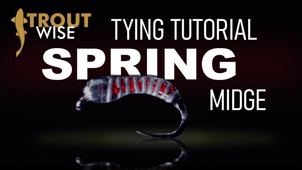 Spring Midge - Small but Mighty Zebra Midge - YouTube