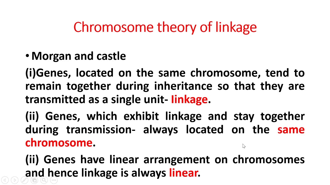 chromosome theory of linkage - YouTube