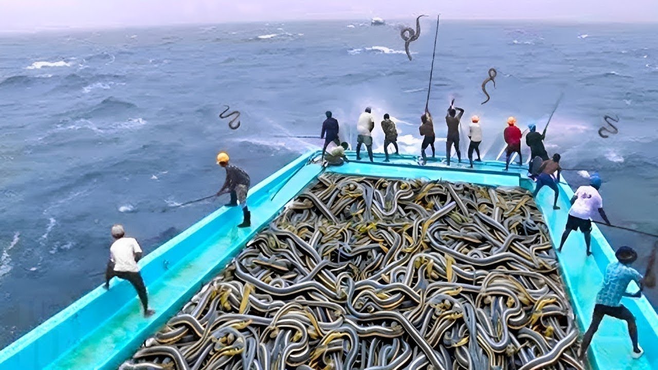 Fishing Boat Discovers Something Terrifying in the Sea That Shocks the ...