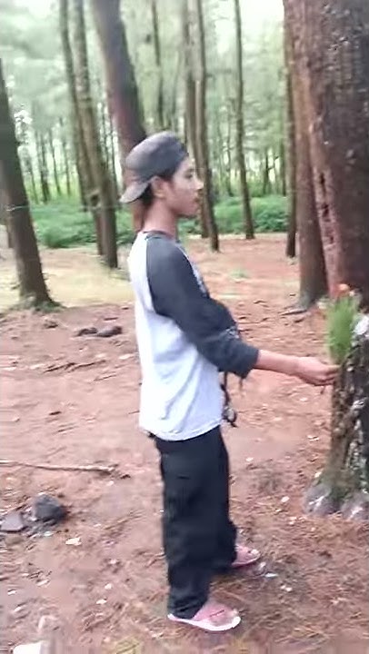 Cinta bersemi di pohon pinus lembanna malino - YouTube