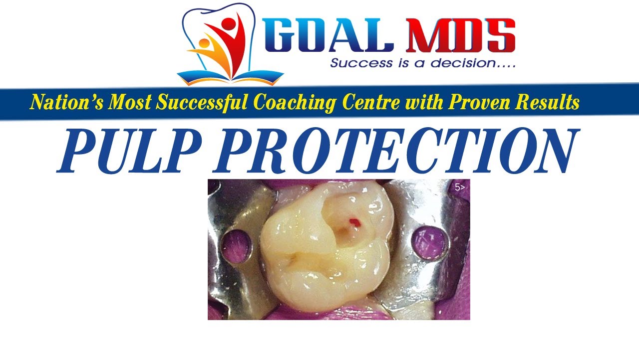 PULP PROTECTION - YouTube