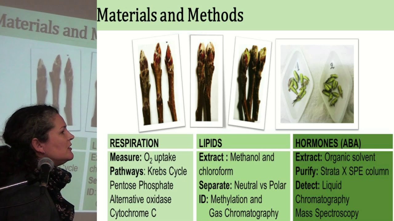 3 Physiological dynamics of dormancy in apple buds grown in areas with ...