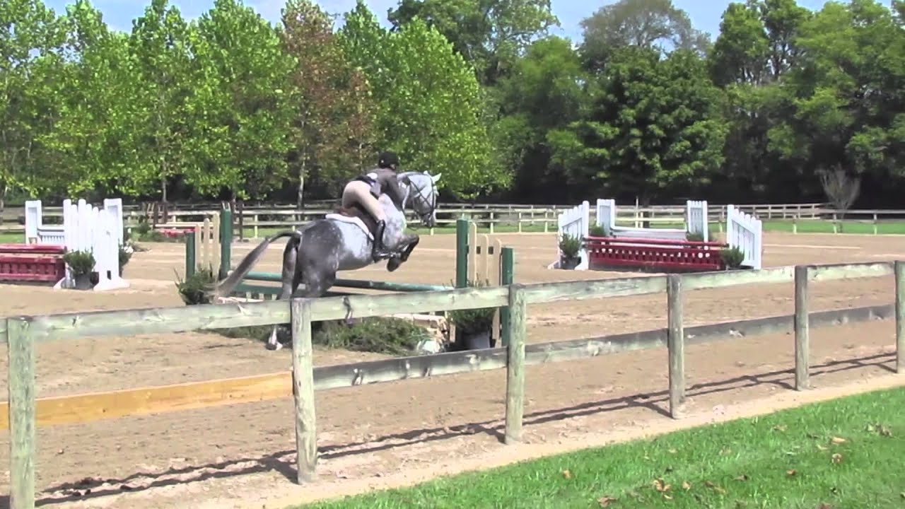 And we pretty much amazing - YouTube