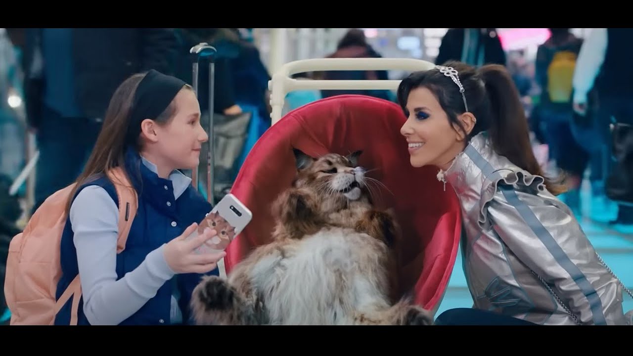 Chien et Chat film complet 1080p - YouTube
