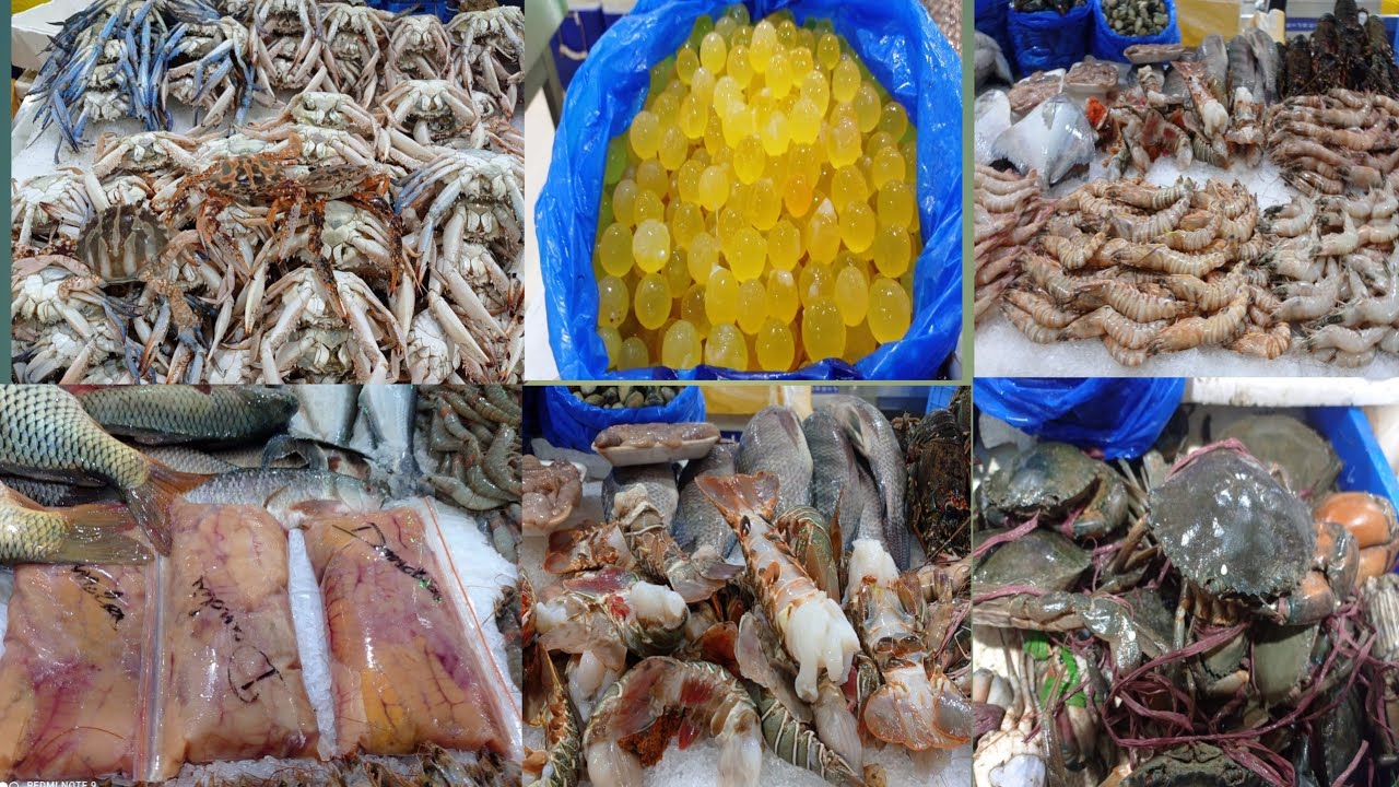 Water front Market in Dubai || WaterFront Market || Deira,Dubai || Fish ...