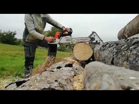 Stihl MS 361