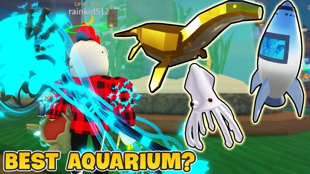 Loài Cá Nào Nên Bỏ Vào AQUARIUM Trong Roblox Fisch? - YouTube