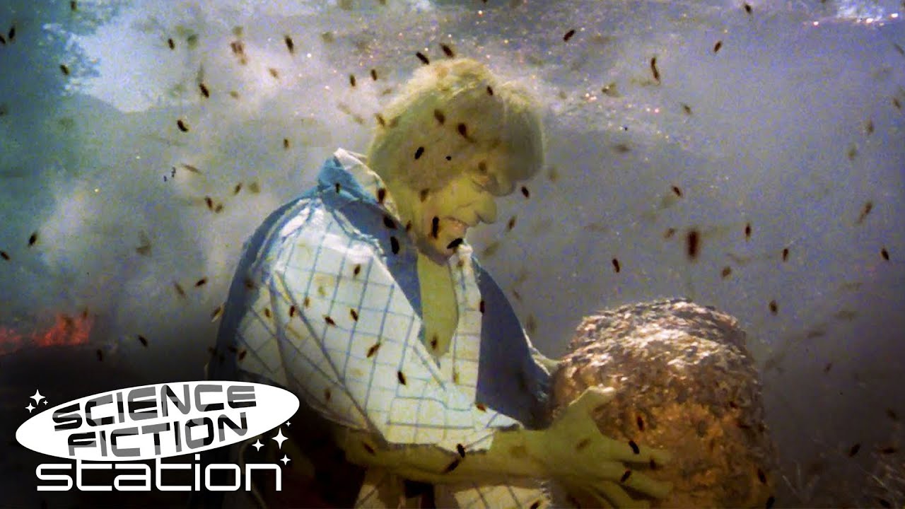 Hulk Fights A Swarm Of Bees! | The Incredible Hulk | Science Fiction ...