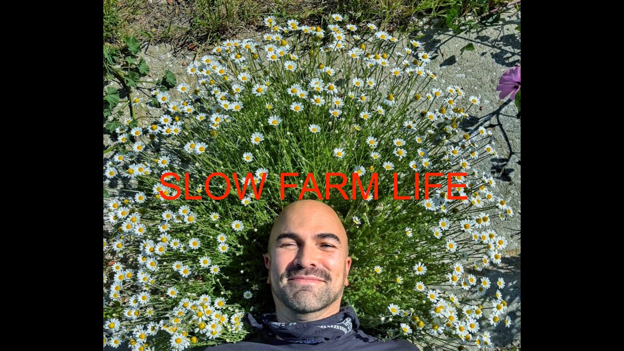 TAKE YOUR TIME TO ENJOY E RELAX - YouTube
