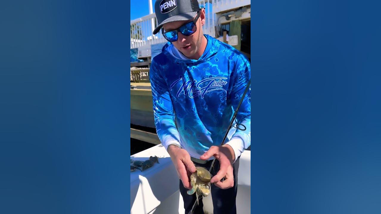Secret Tip To Targetting Giant Drum Species Using Crab As Bait 🤯