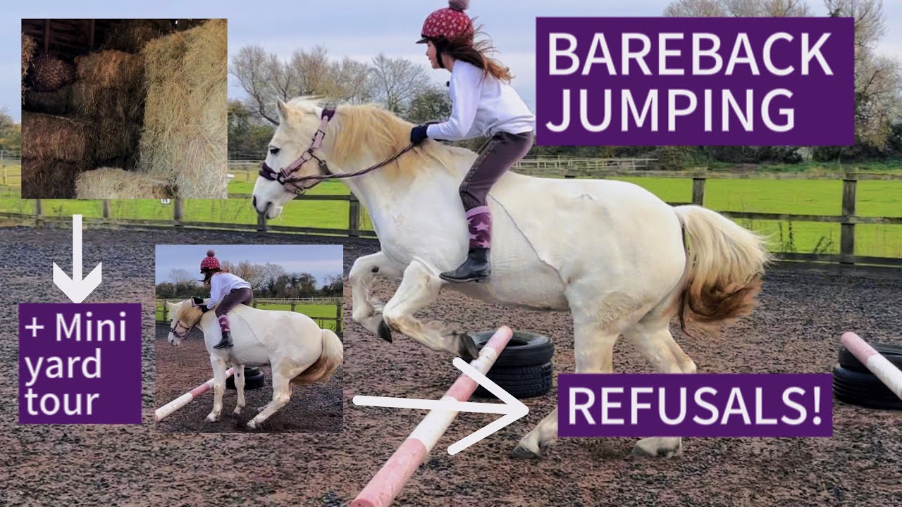 BAREBACK JUMPING!😱 (NEARLY FALLING OFF!) +MINI YARD TOUR!! - YouTube