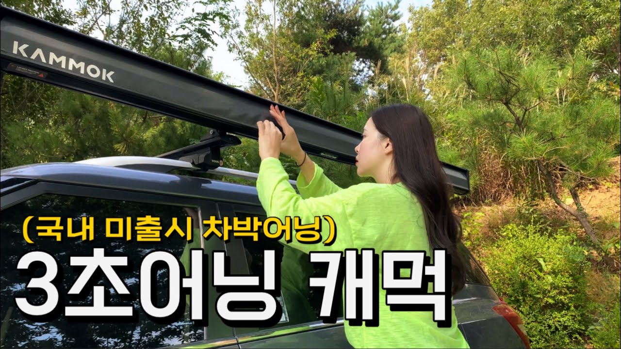 차박 어닝계의 에르메스캐먹 크로스윙어닝품절대란 브리즐 캠핑에어컨 솔직리뷰 해볼게요 마요네즈꽃게구이 나도 해봤다