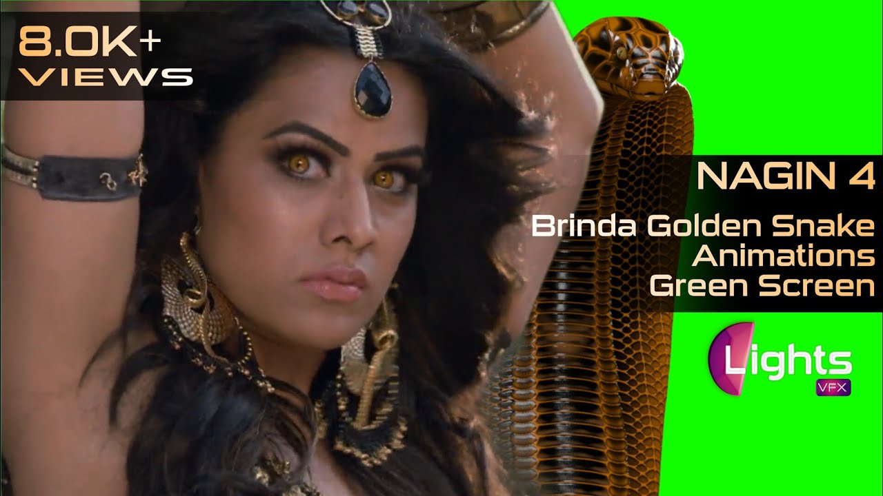 Nagin 4 Brinda Golden-Black Snake Animation on Green Screen by LIGHTS ...