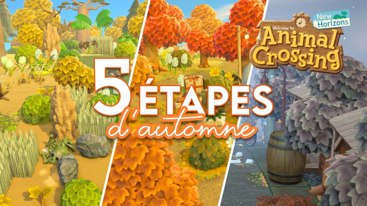 5 ÉTAPES DE LA SAISON AUTOMNALE 🍃 - ANIMAL CROSSING NEW HORIZONS - YouTube