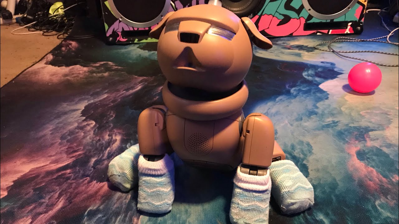 31 DAYS of AIBO MEET BUSTER DAY 8 - YouTube