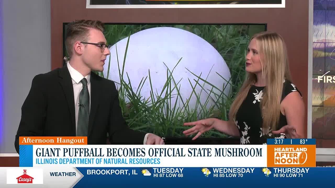 ‘Giant Puffball’ named the official mushroom of Illinois - YouTube