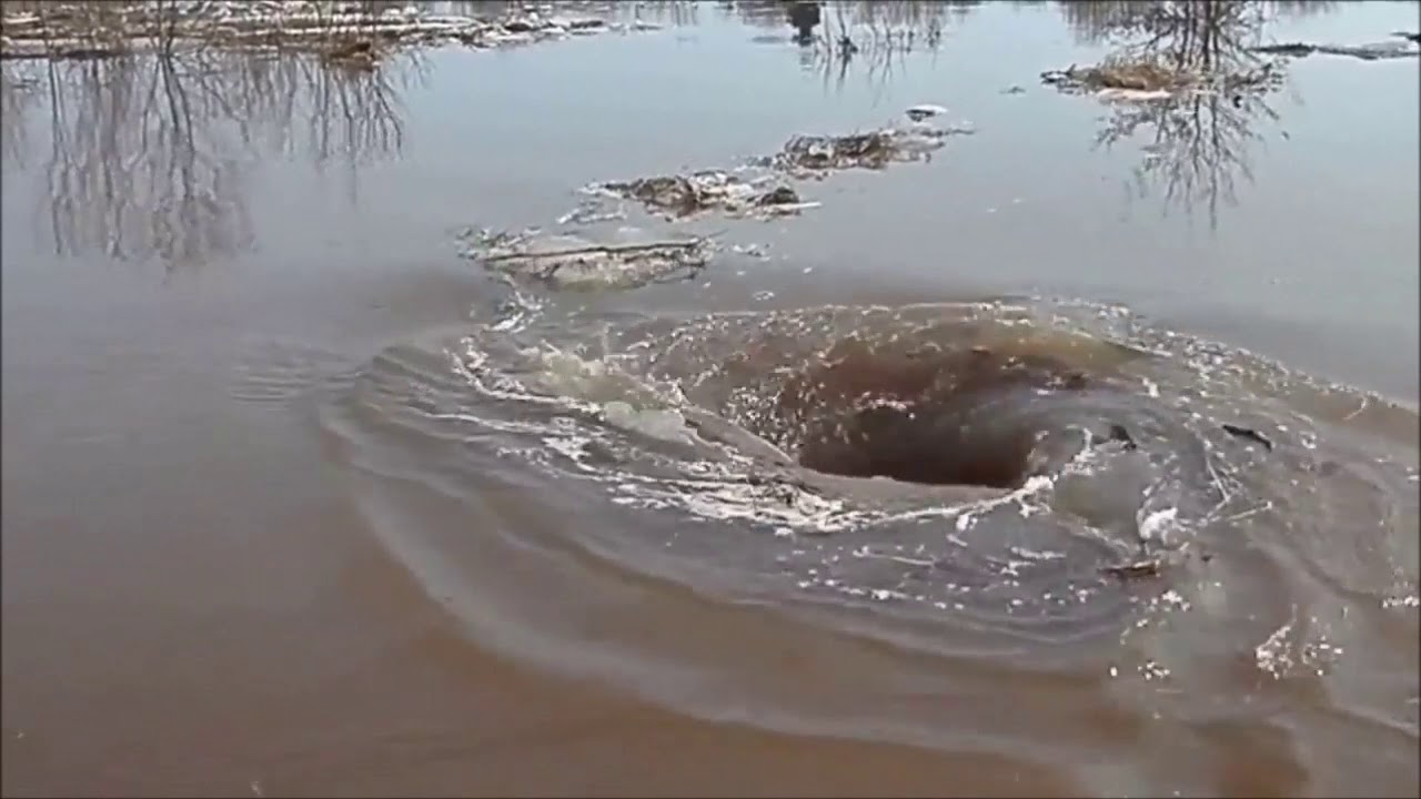 देखिए पानी में बनने वाली #भंवर कितनी खतरनाक हो सकती हैं - Natural ...