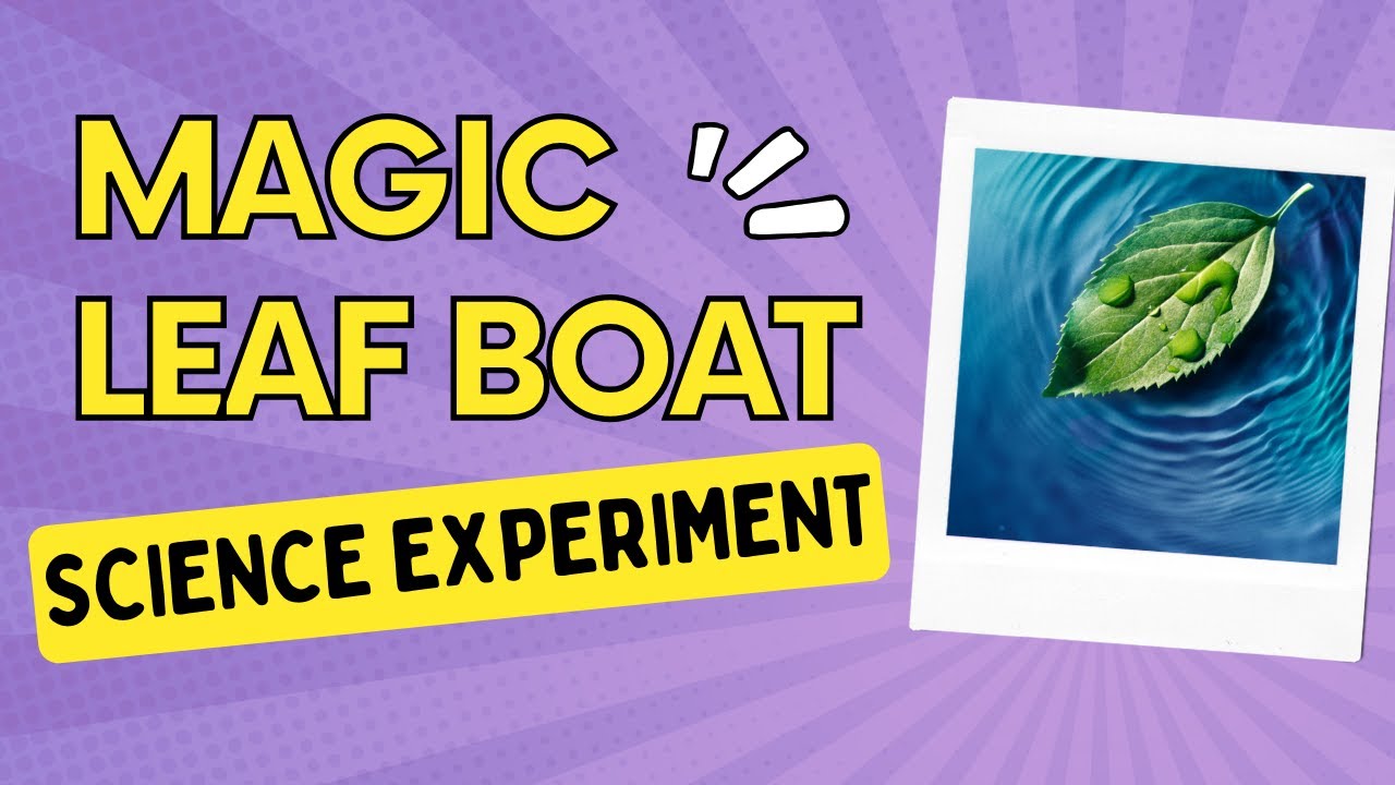 Make a Leaf Boat: Fun Science Experiment for Kids - YouTube