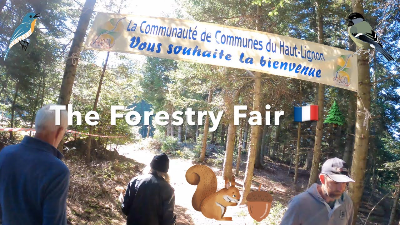 Forestry Fair in my village 🌲🇫🇷 ! - YouTube