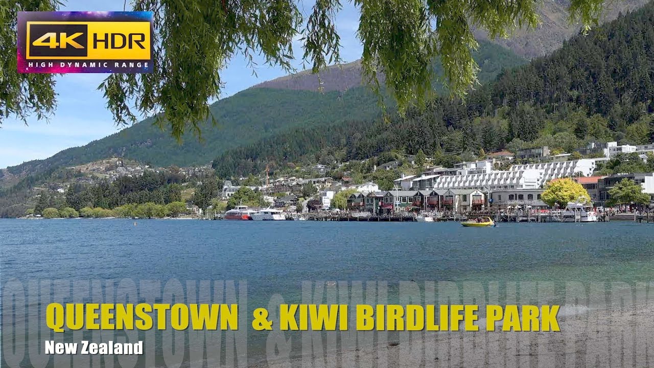NEW ZEALAND / Queenstown / Kiwi Birdlife Park - YouTube