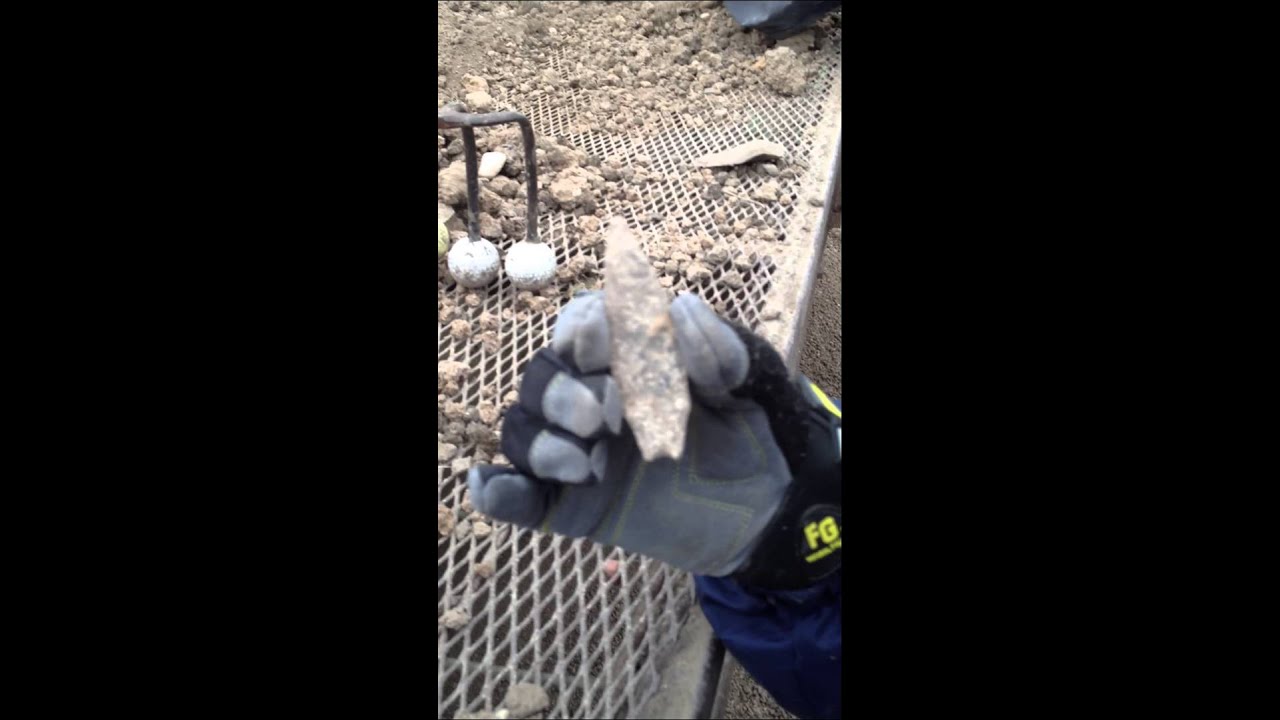 Even a Blind Hog Can Find An Acorn Every Now and Then - YouTube