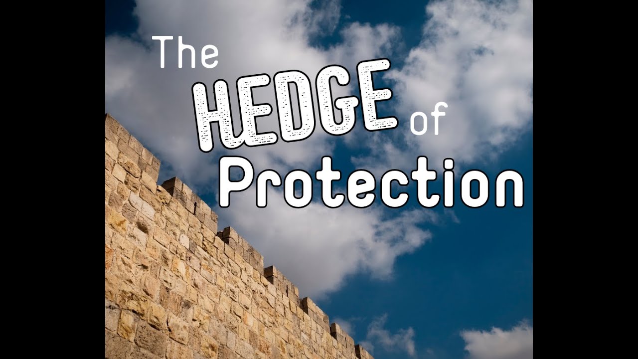 The Hedge of Protection. Job 1. - YouTube