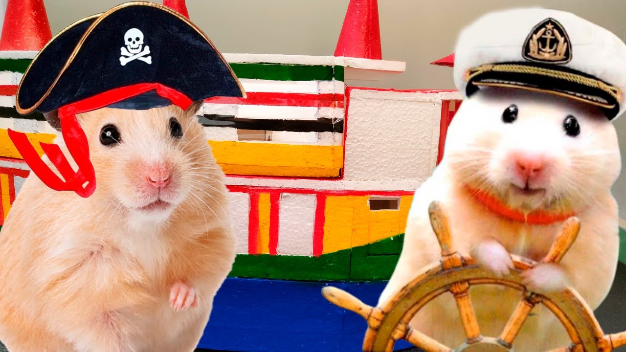 Pool Maze for Hamster 🐹 Rainbow Pyramid Maze 🐹 Captain Hamster on His ...