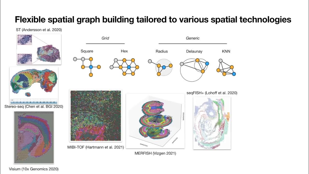 08 Spatial Transcriptomics analysis with Squidpy - YouTube
