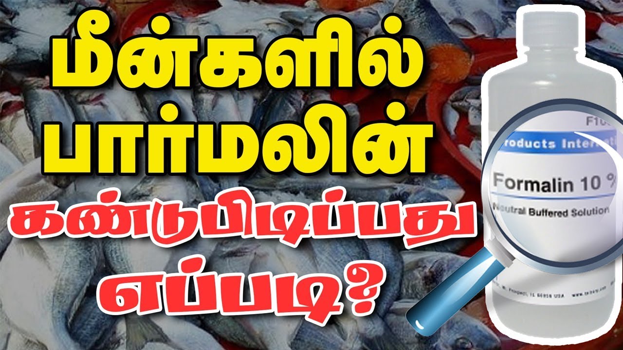 Easy Tips : Here's how to identify formalin laced fish | How to Find ...