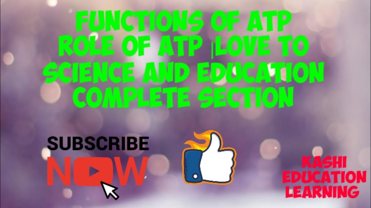 Functions of ATP Role of ATP |Love to science and Education Complete ...