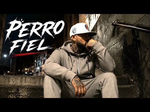 Perro fiel - Tato ( Video liryc) 