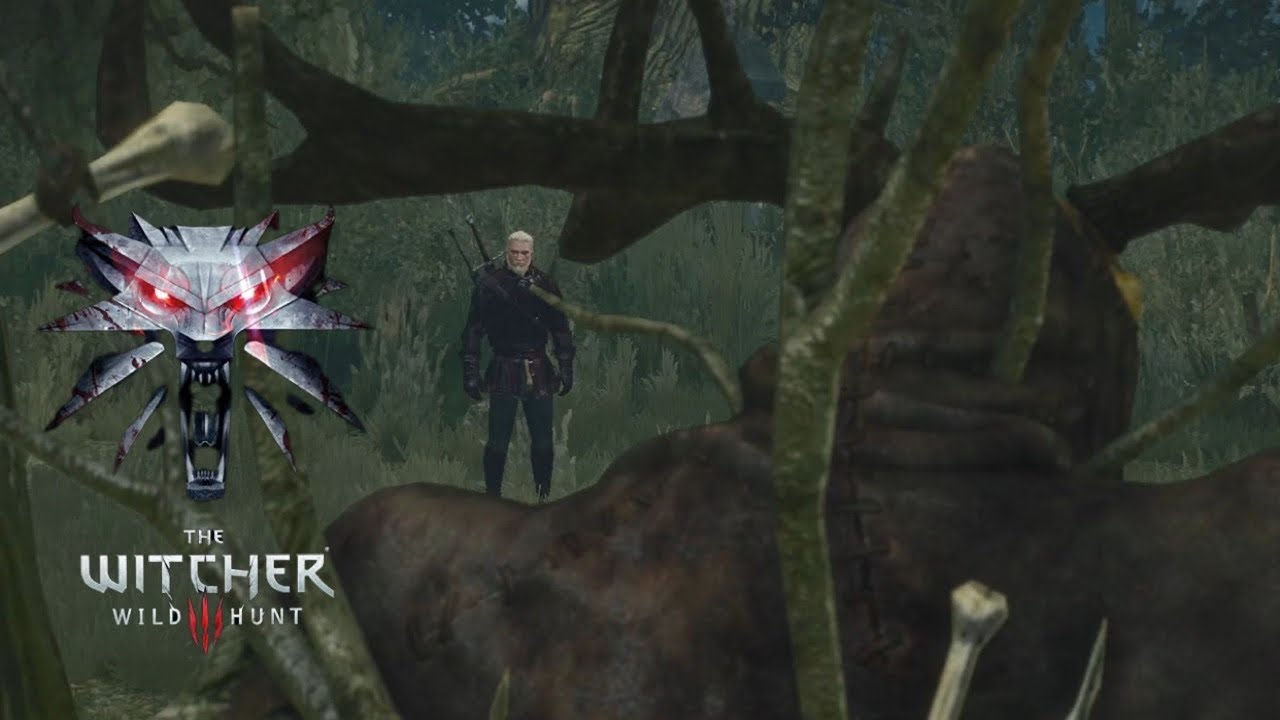 The Witcher 3 OP Build - Contract: Lord of the Wood - YouTube