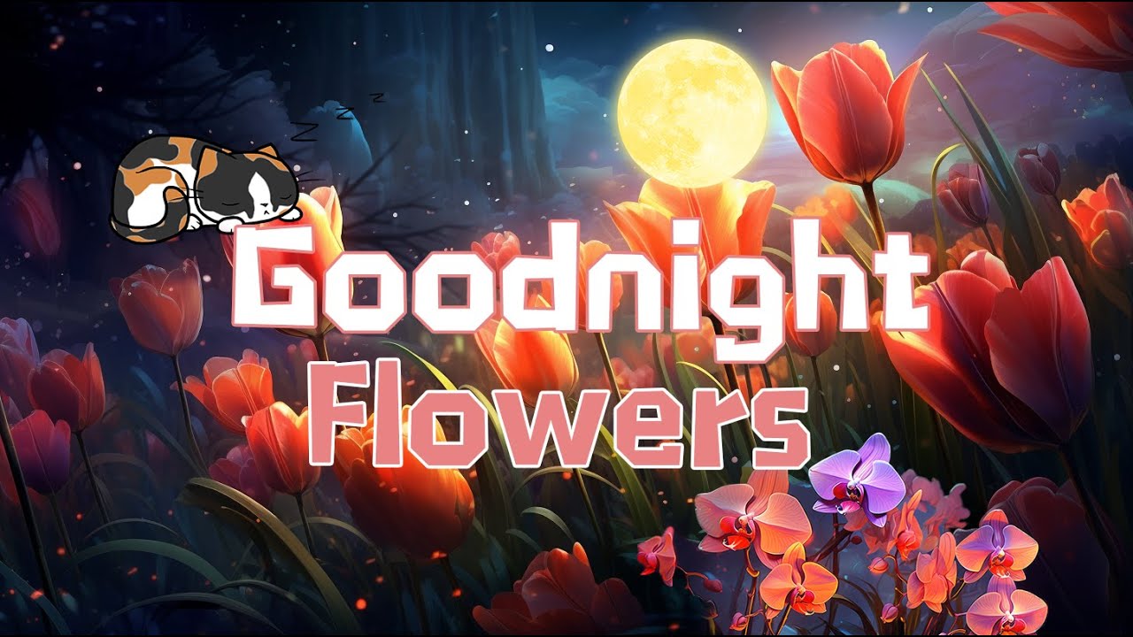 Goodnight Flowers 🌼🌙 Beautiful Images and Cozy Sounds Promote Sleep ...